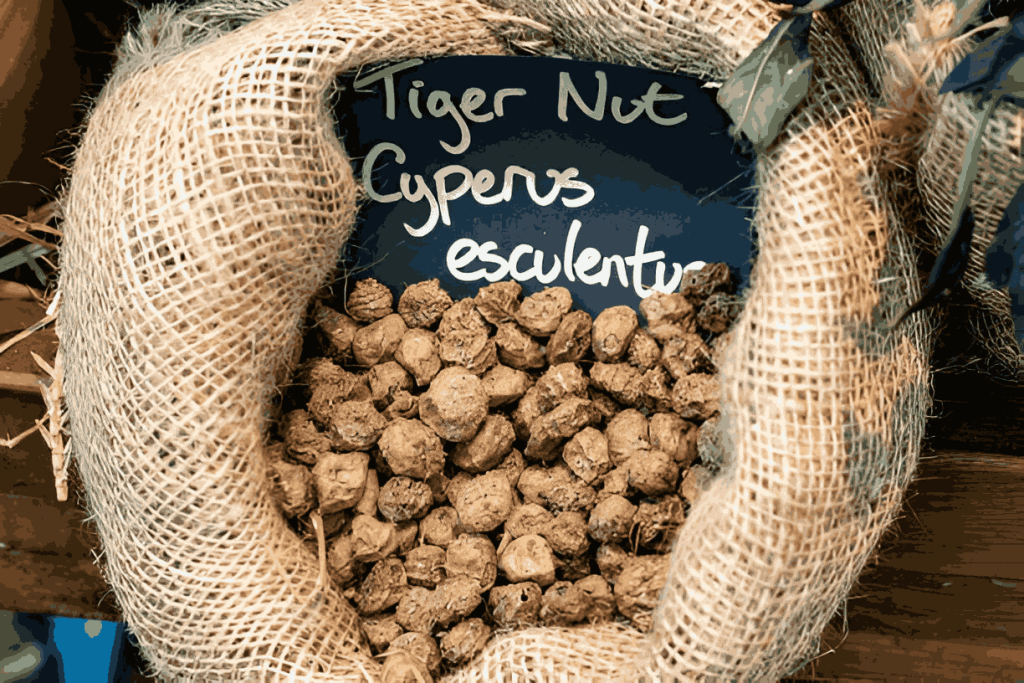Tiger Nuts – Aquatic Orange Limited